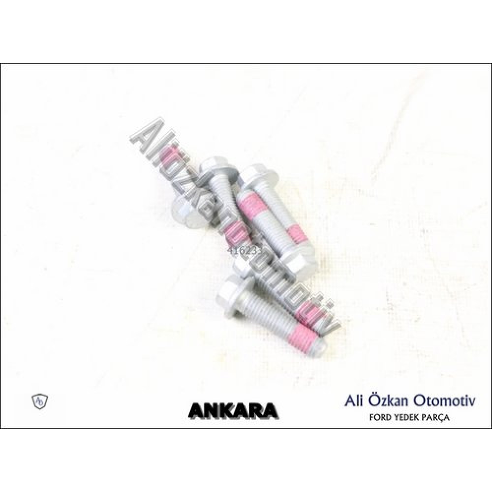 EKSOZ MANİFOLD CİVATASI - W715586-S442